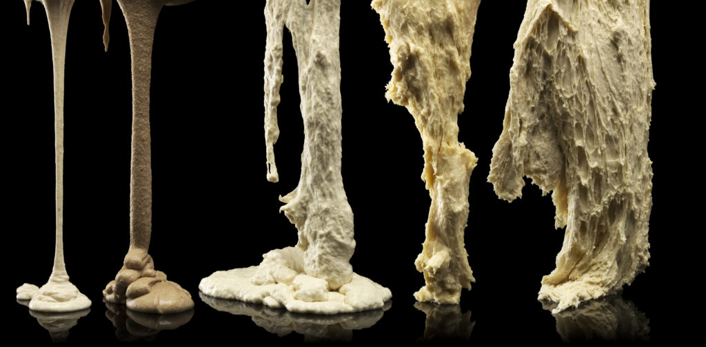 Are Biga, Poolish, and Sponge Interchangeable? - Modernist Bread