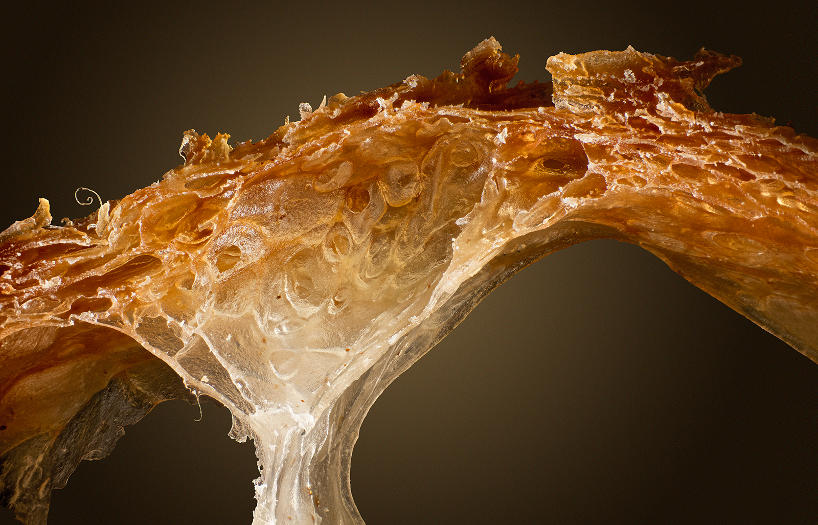 Modernist Bread - By Modernist Cuisine